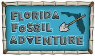 Exploring Bone Valley: A Treasure Trove of Fossils – Florida Fossil ...