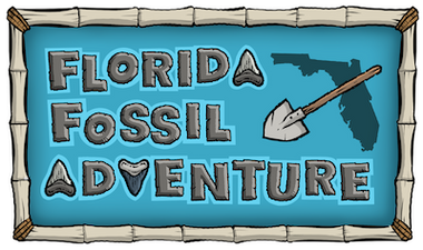 Exploring Bone Valley: A Treasure Trove of Fossils – Florida Fossil ...
